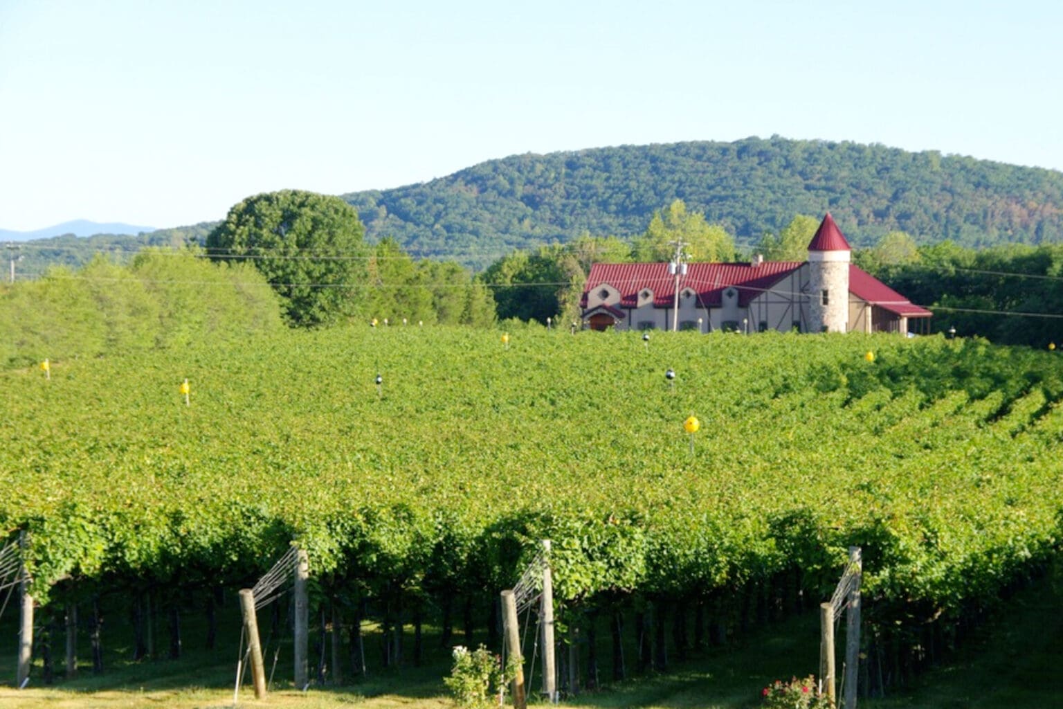Michael Heny, Winemaker for Horton Vineyards | Visit Virginia Travel ...