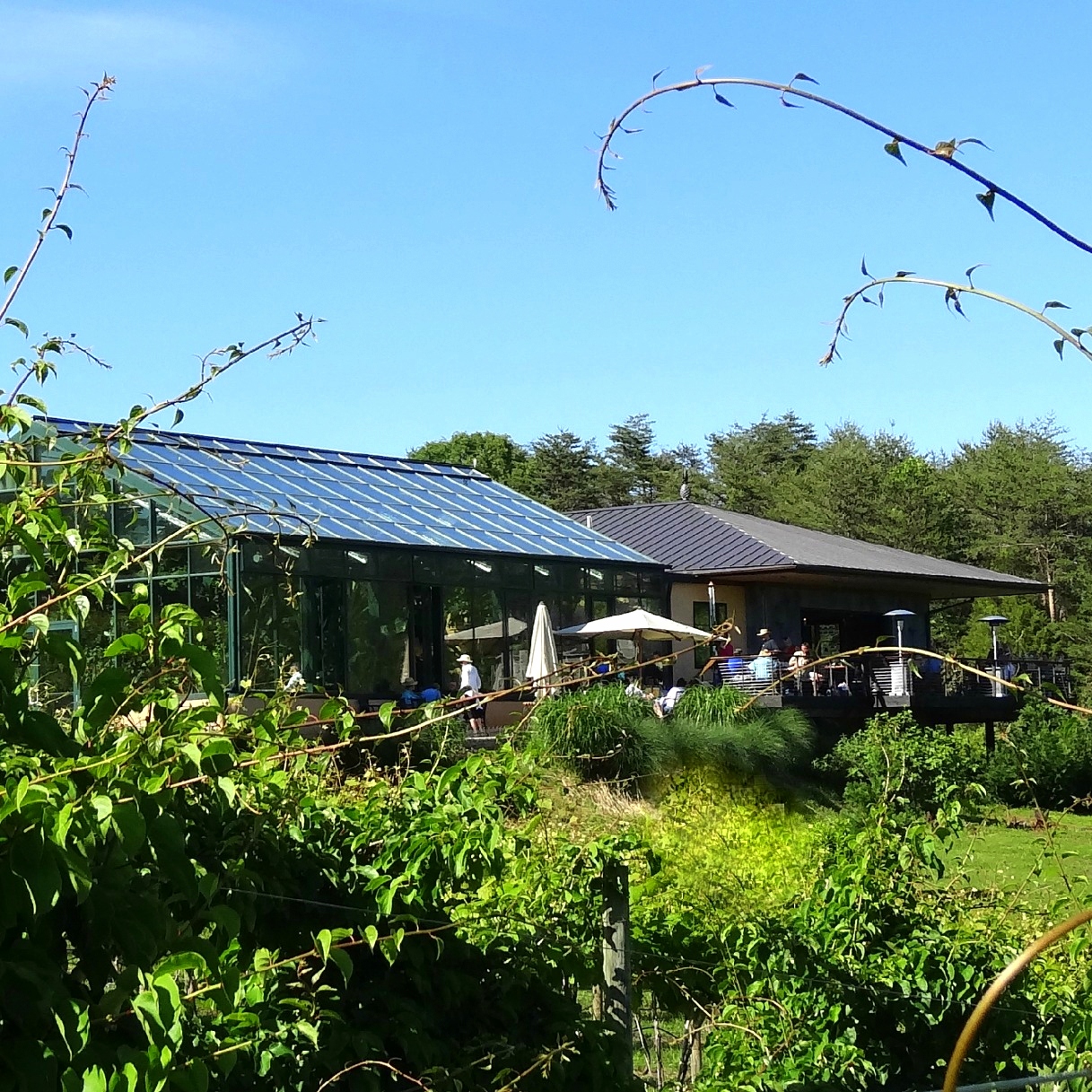 May 2013 Rear Exterior thru vines square | Visit Virginia Travel Guide ...