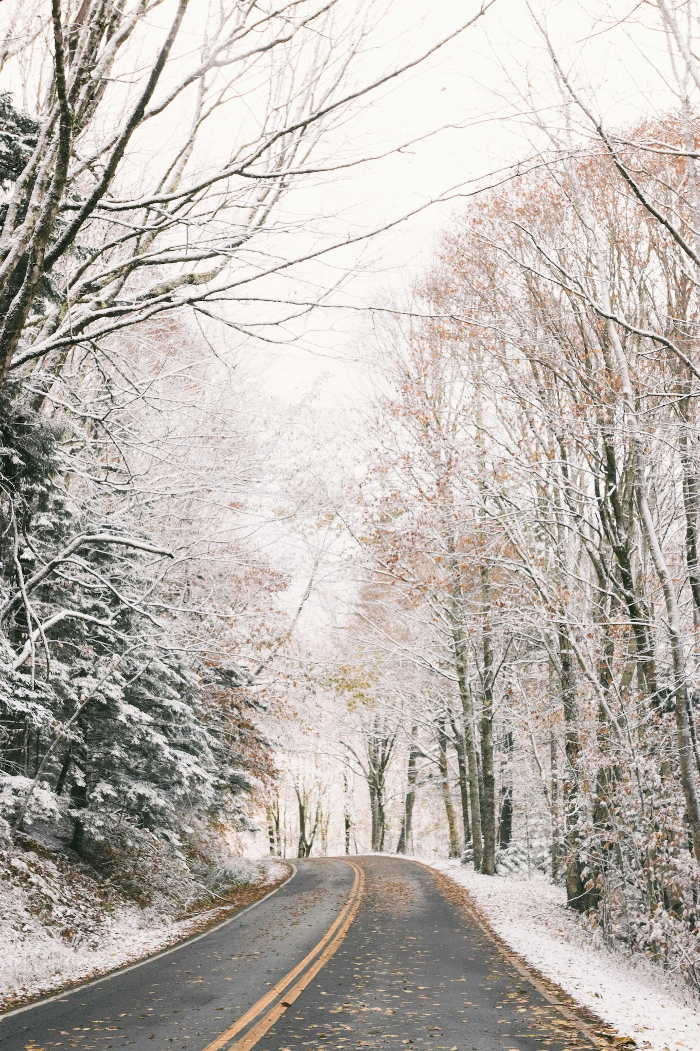 Mountain Magic: Winter Festivities and Outdoor Activities in Southwest ...