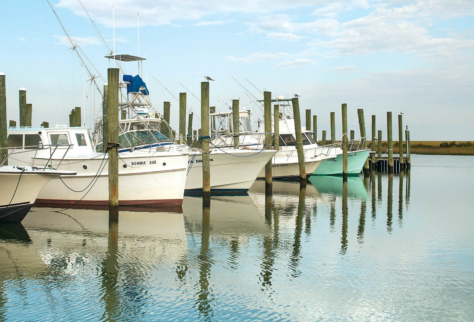 Eastern Shore - Visit Virginia Travel Guide Guide