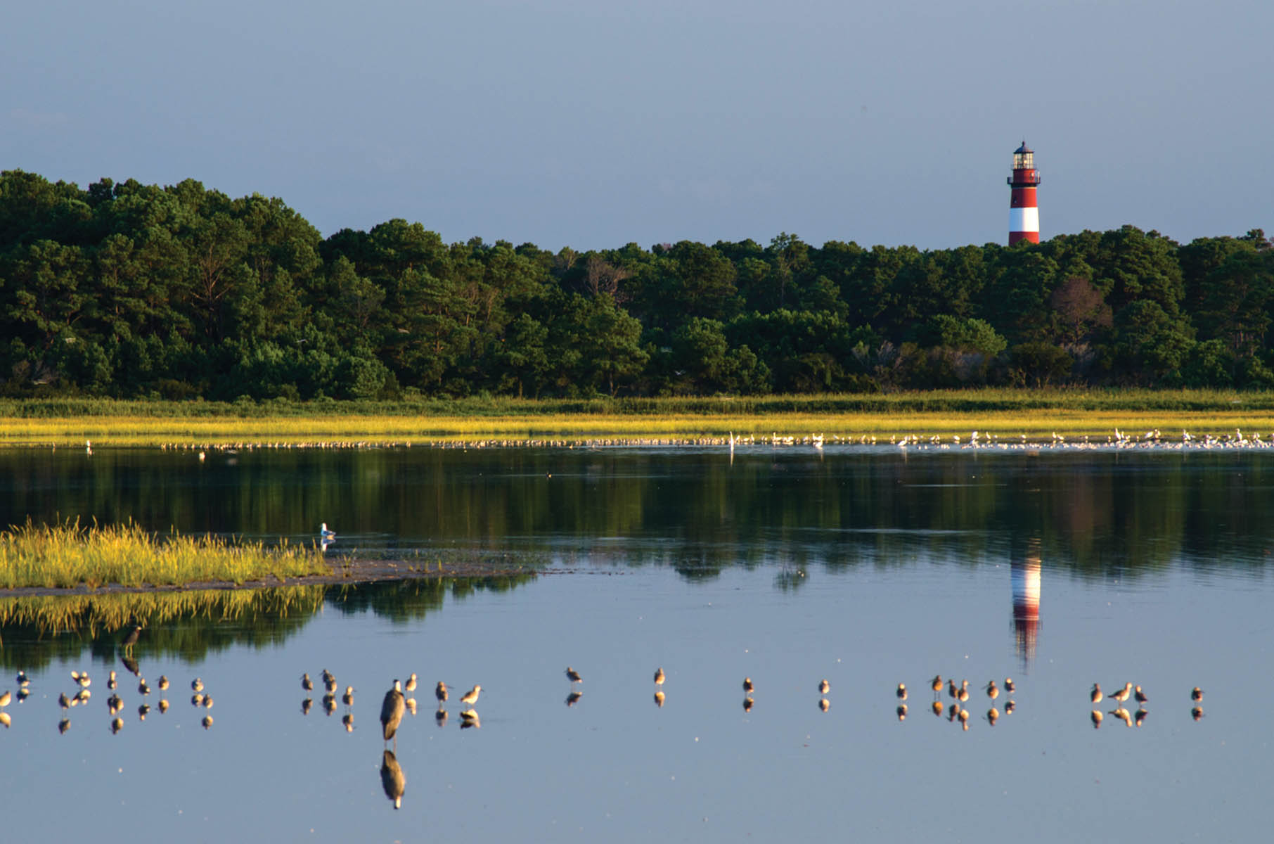 Virginia’s Bright Lights | Visit Virginia Travel Guide Guide